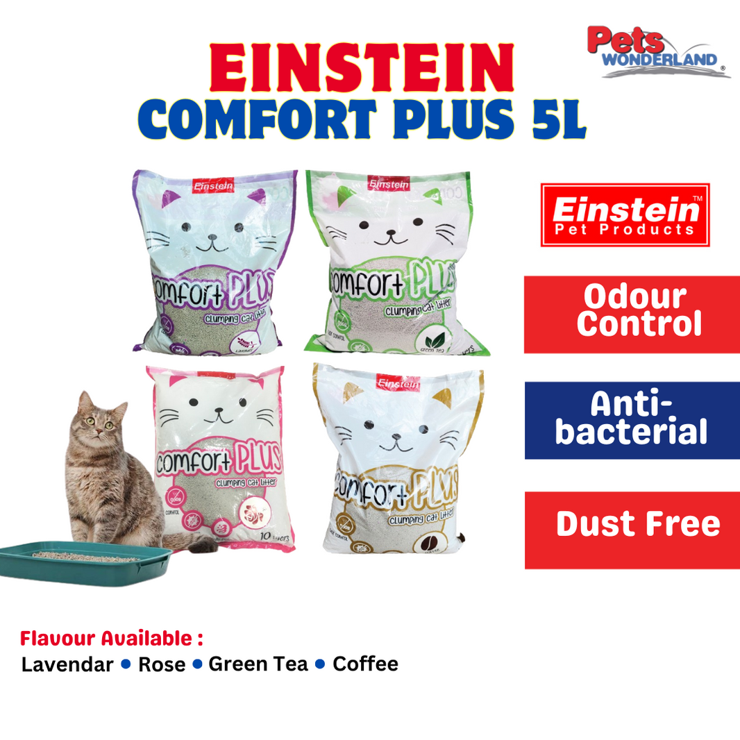 Comfort Plus – Petswonderland